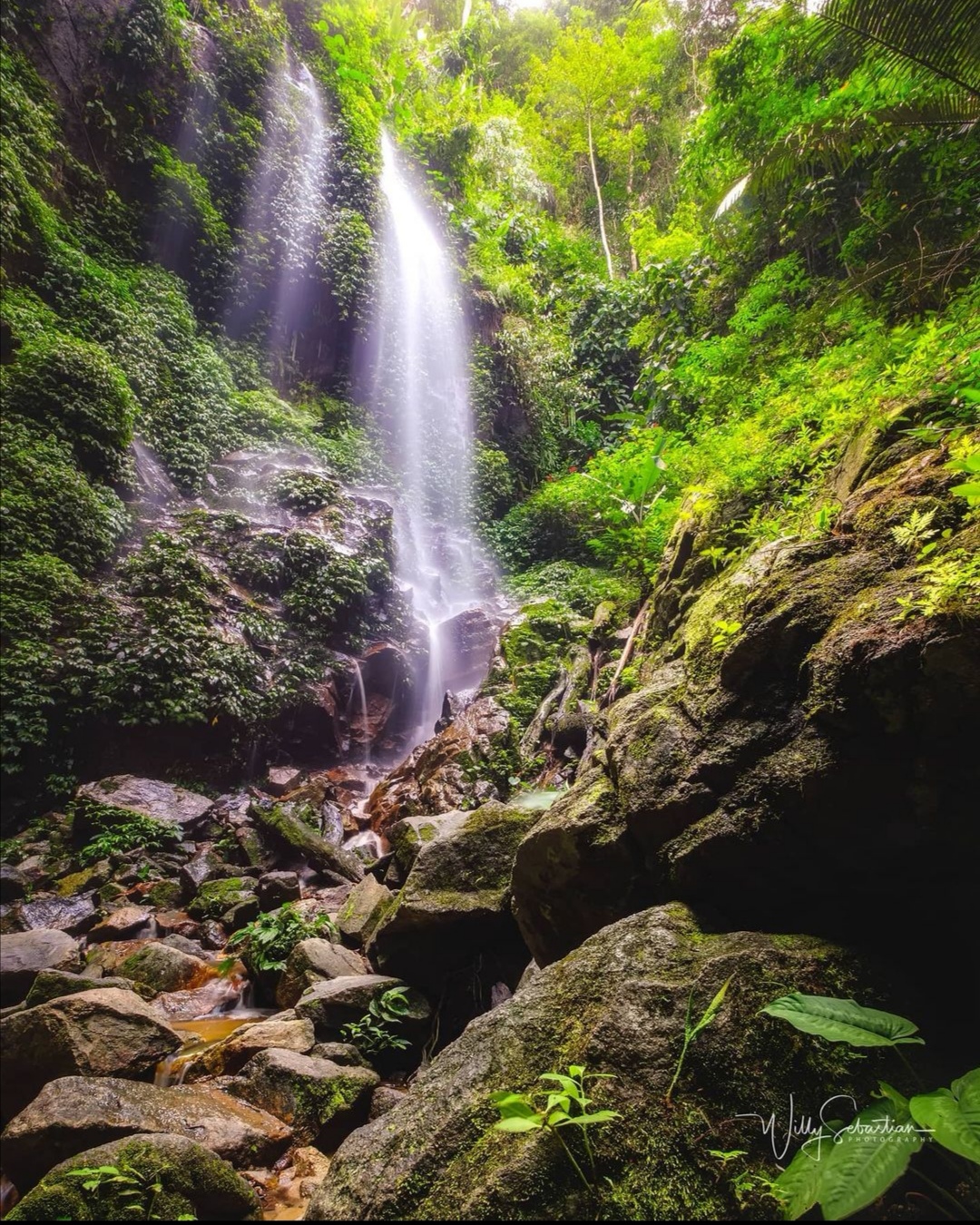 Royal Belum Rainforest